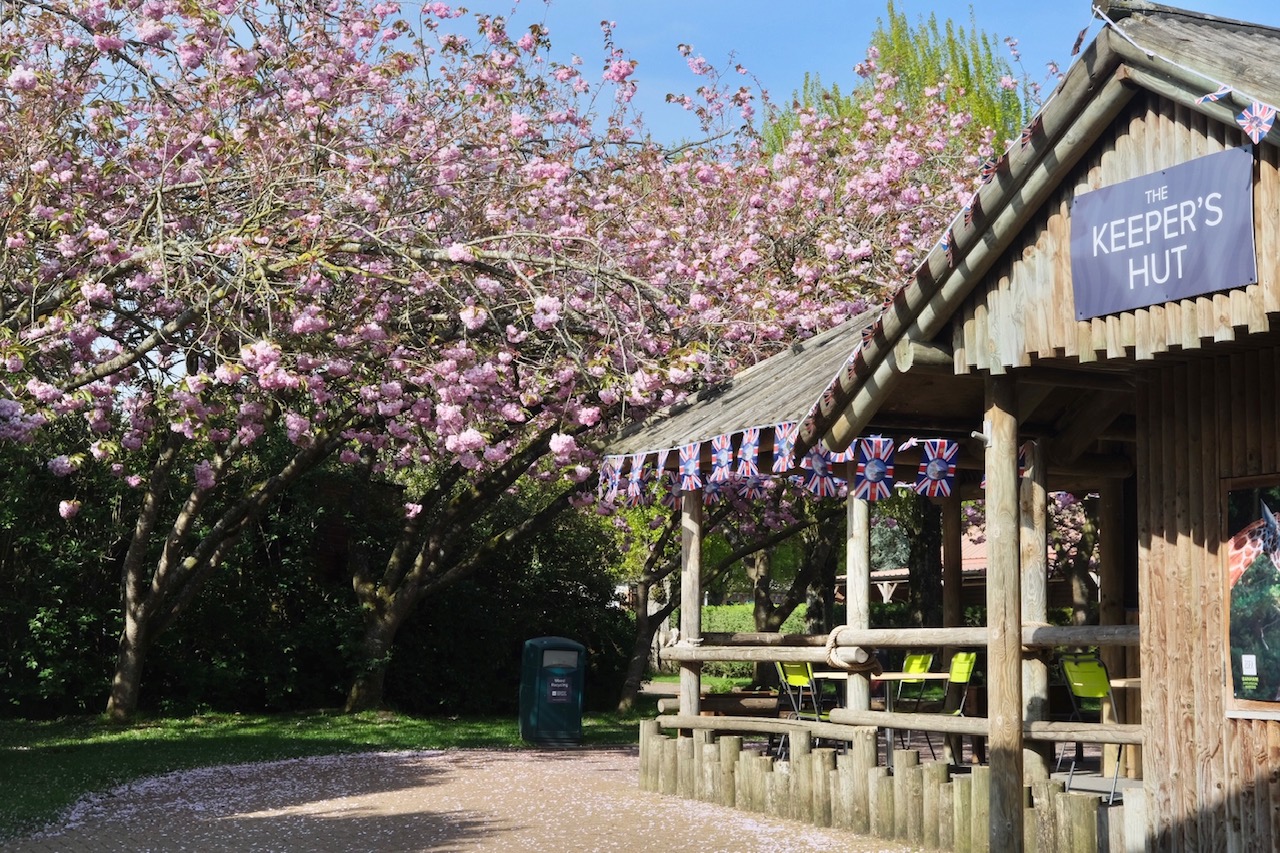 Banham Zoological Gardens - StayPlay