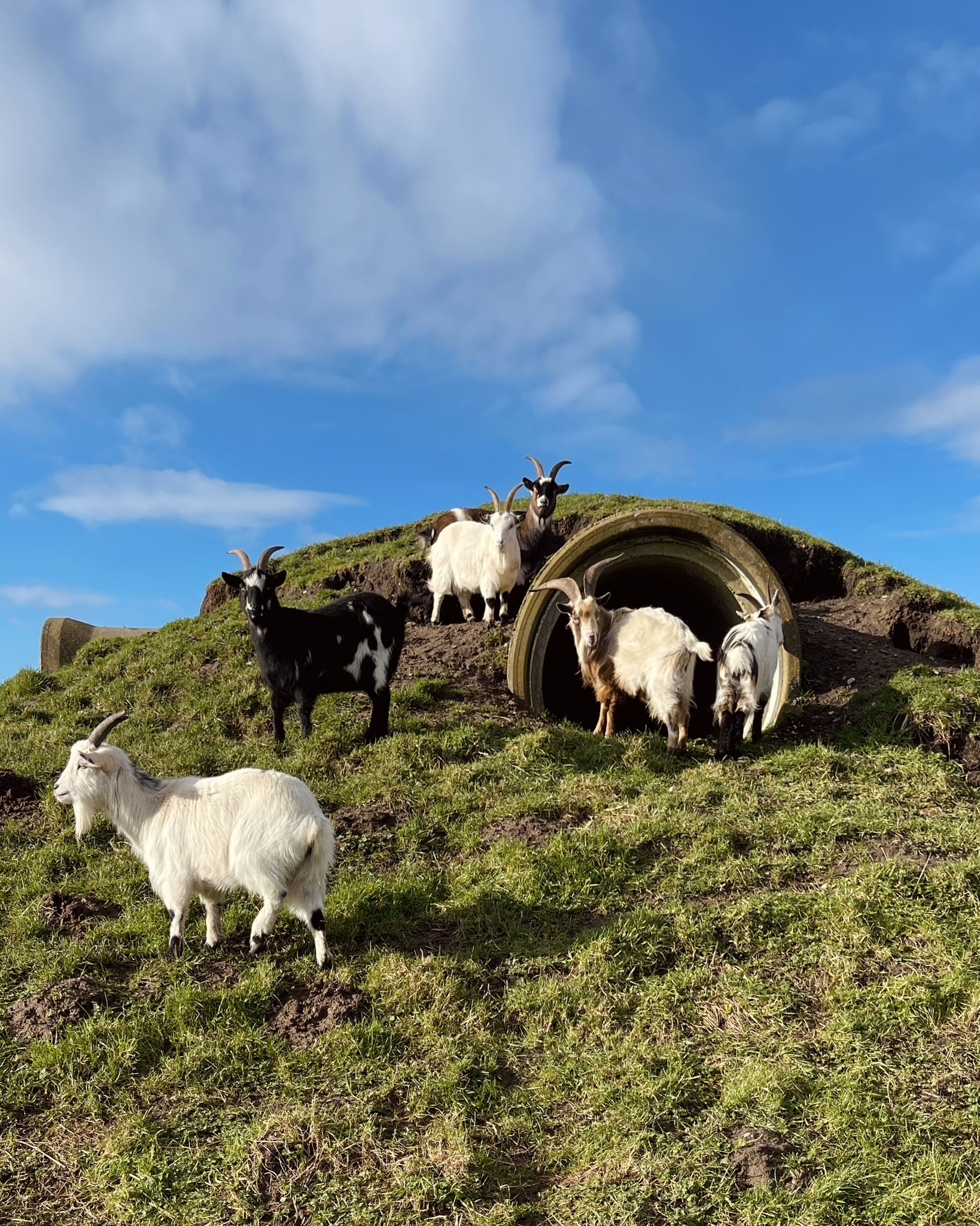 Rand Farm Park - StayPlay