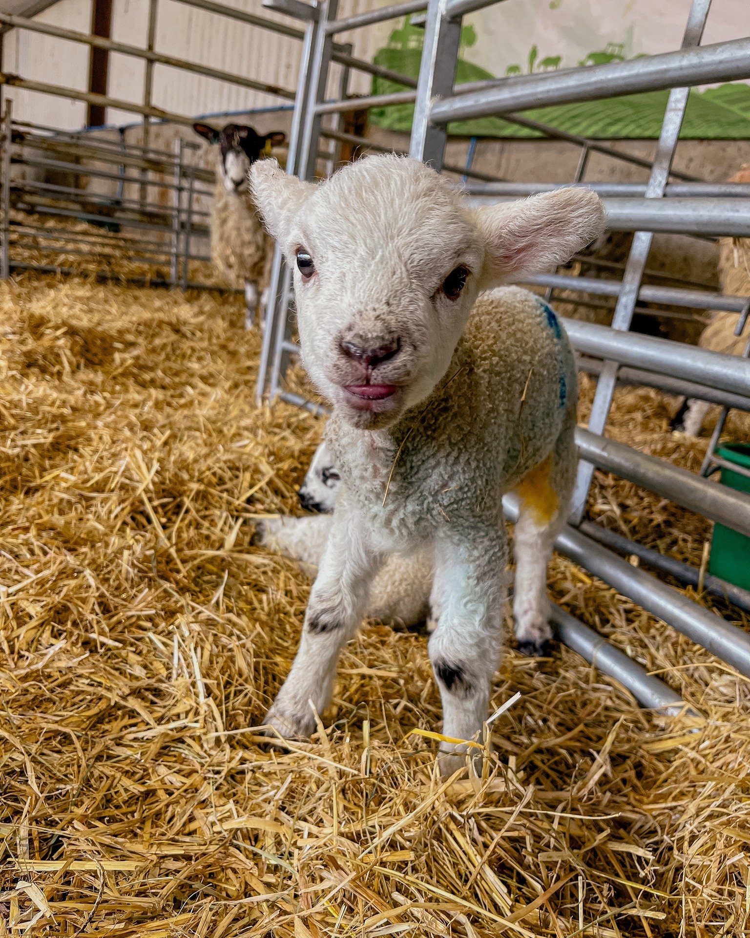 Rand Farm Park - StayPlay