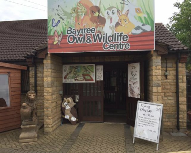 Baytree Owl and Wildlife Centre - StayPlay