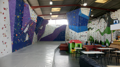 Golden Gecko Climbing - StayPlay