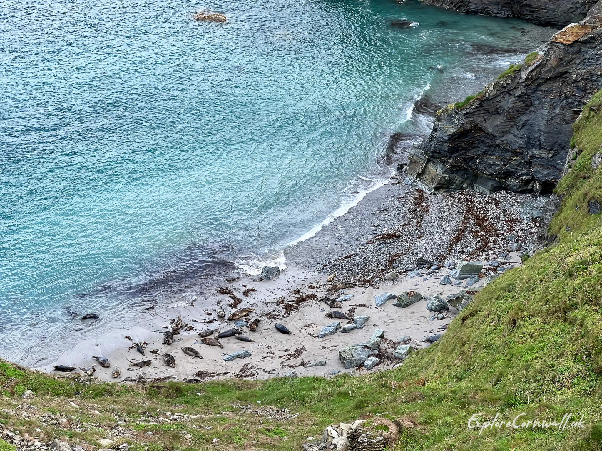 Mutton Cove - StayPlay