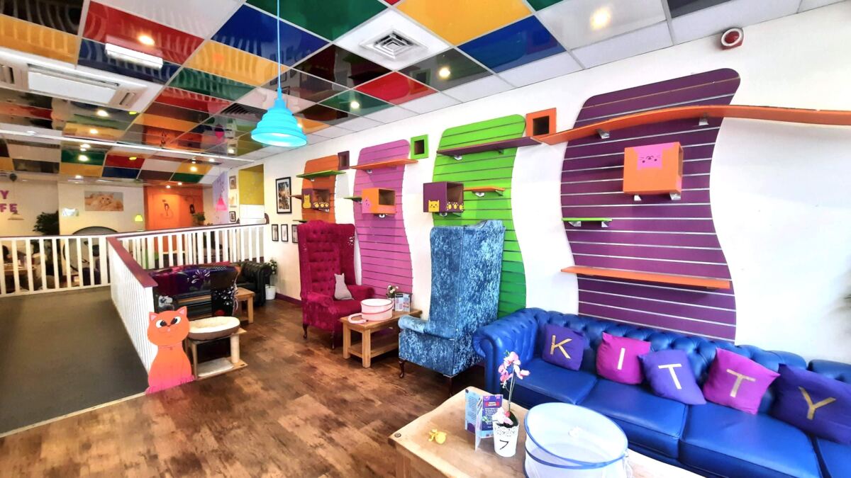 Kitty Café Nottingham - StayPlay