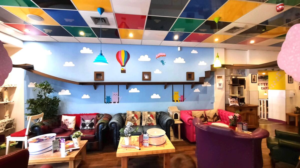 Kitty Café Nottingham - StayPlay