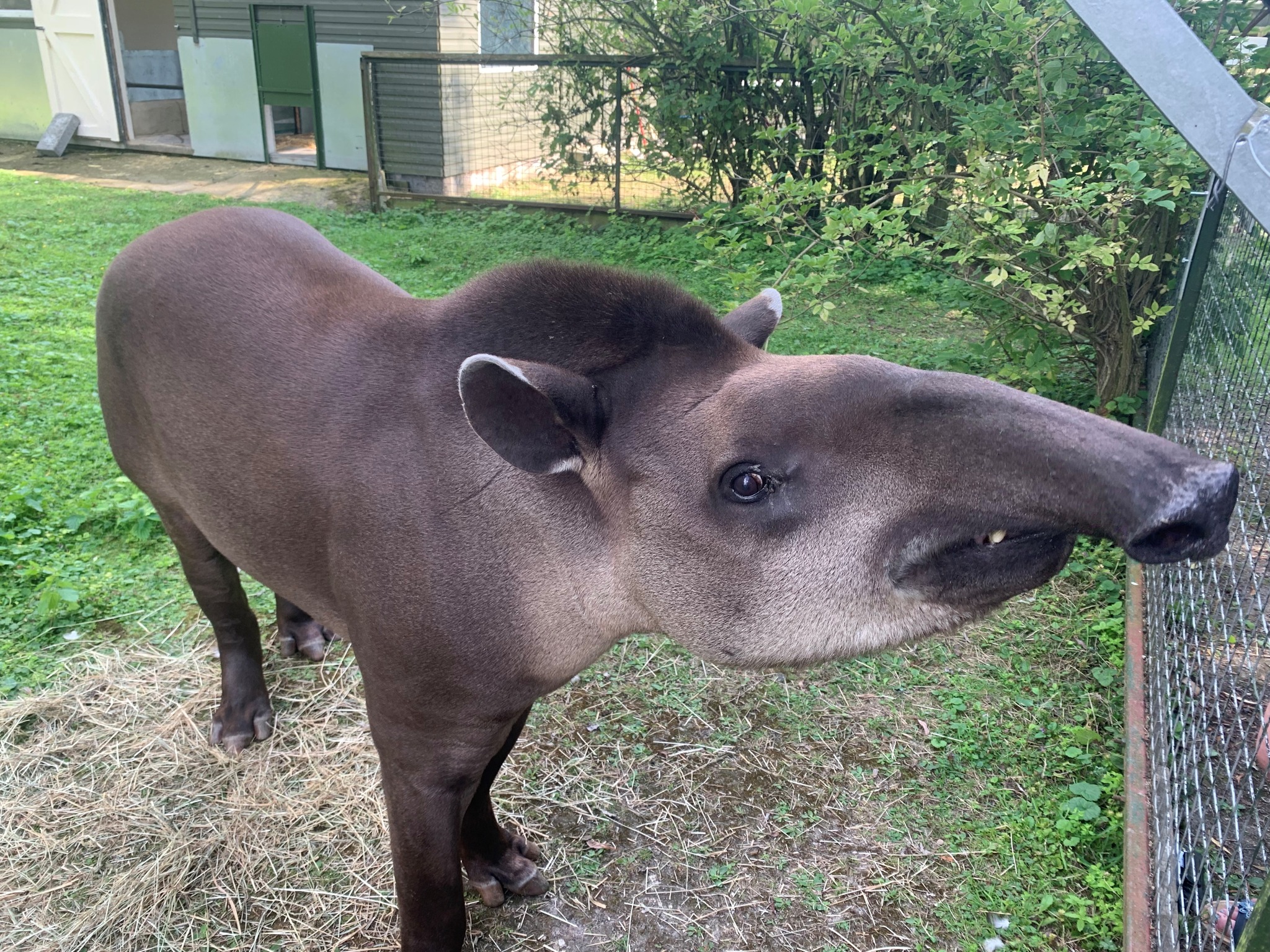 Beale Park - StayPlay