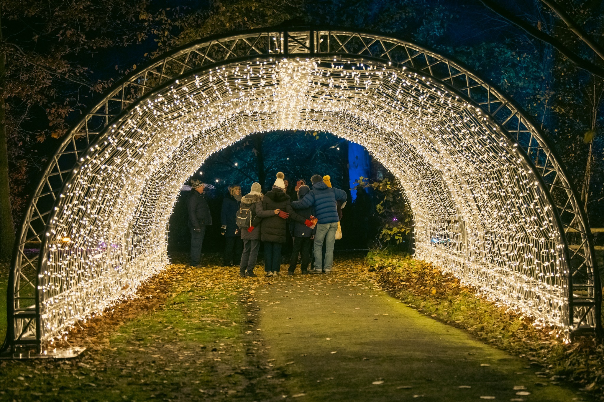 Botanic Lights - StayPlay
