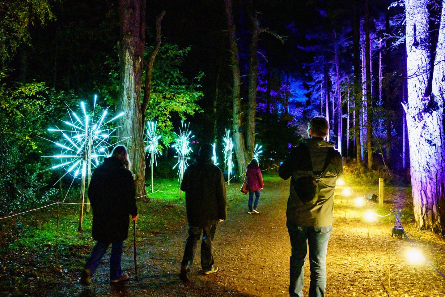 Luminate Winter Light Trail - StayPlay