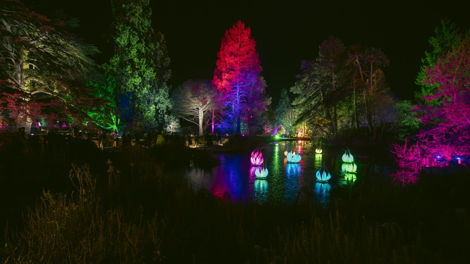 Botanic Lights - StayPlay